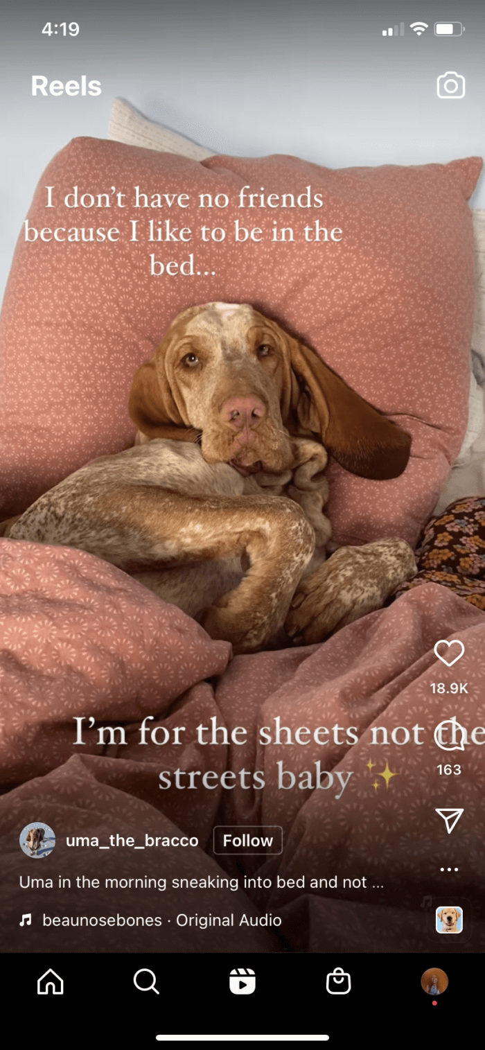 The Ultimate Instagram Terms Glossary | Rival IQ