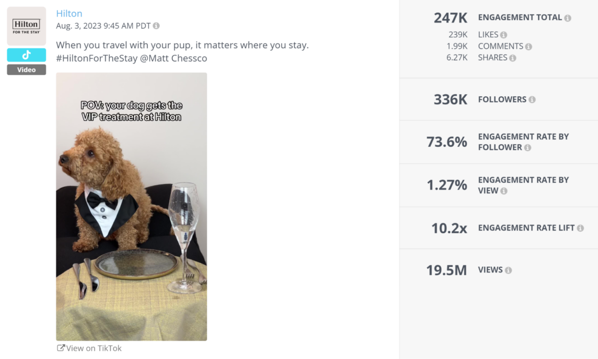 The Top Travel Brands on Social Media and How They Shine | Rival IQ